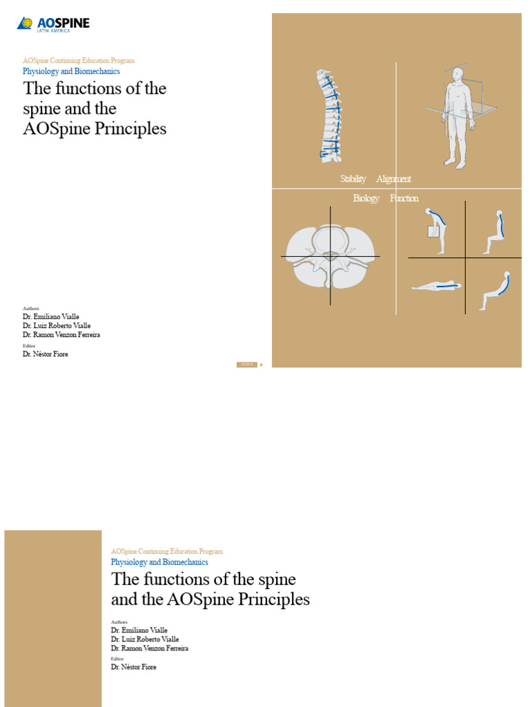 The Functions of The Spine and The AOSpine Principles | PDF | Vertebra ...