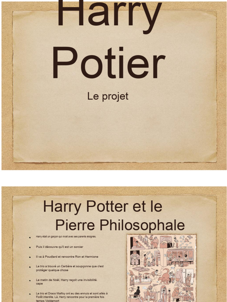 Projet Harry Potter | PDF | Harry Potter | Fantaisie