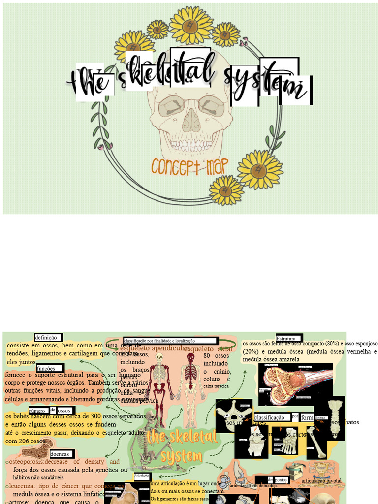 mapa conceitual do sistema esquelético | PDF | Esqueleto | Osso