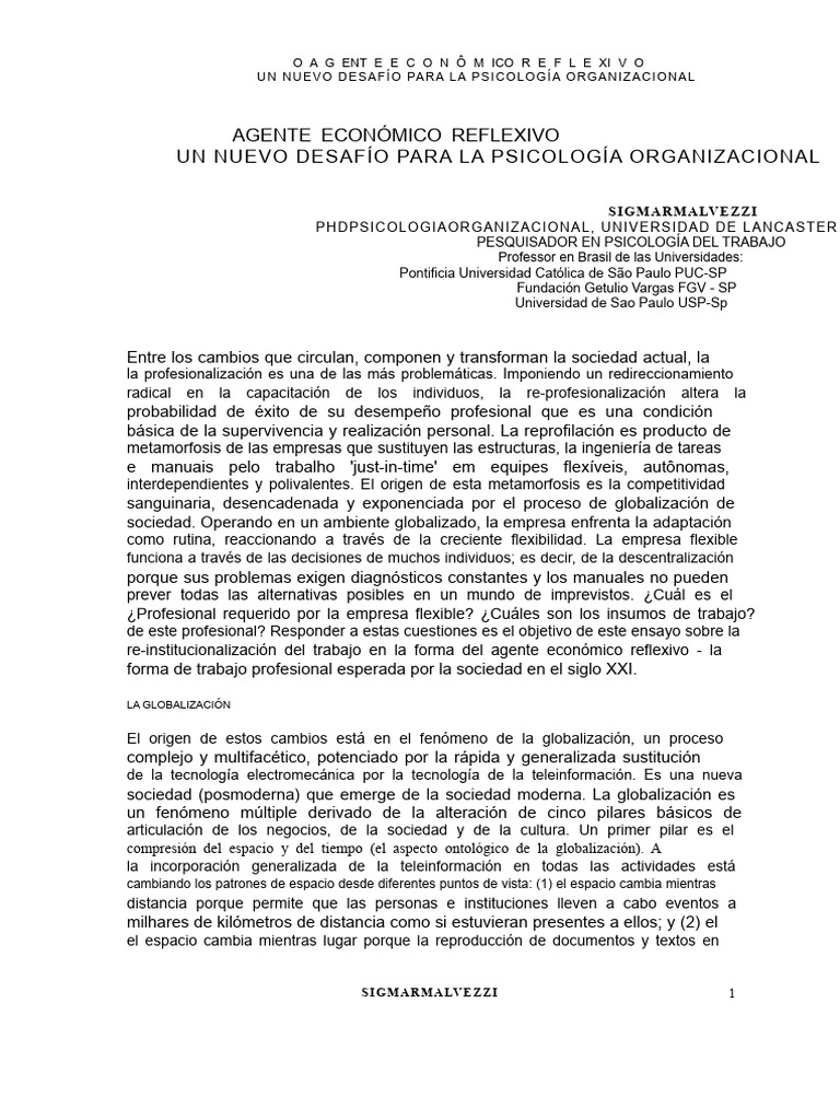Agente Económico Reflexivo MALVEZZI | PDF | Capital (economía) | Business