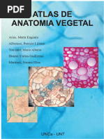 Endophytic vs Exophytic Tumors Explained | PDF