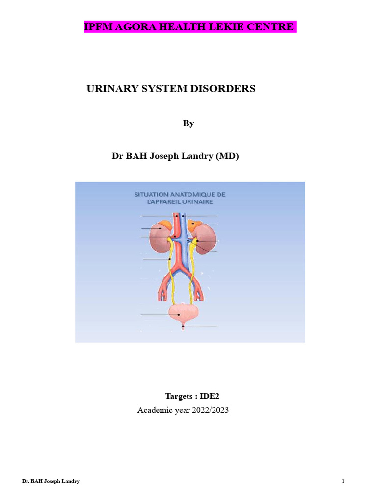 Urinary System Disorders Nursing Guide | PDF | Urinary Incontinence ...