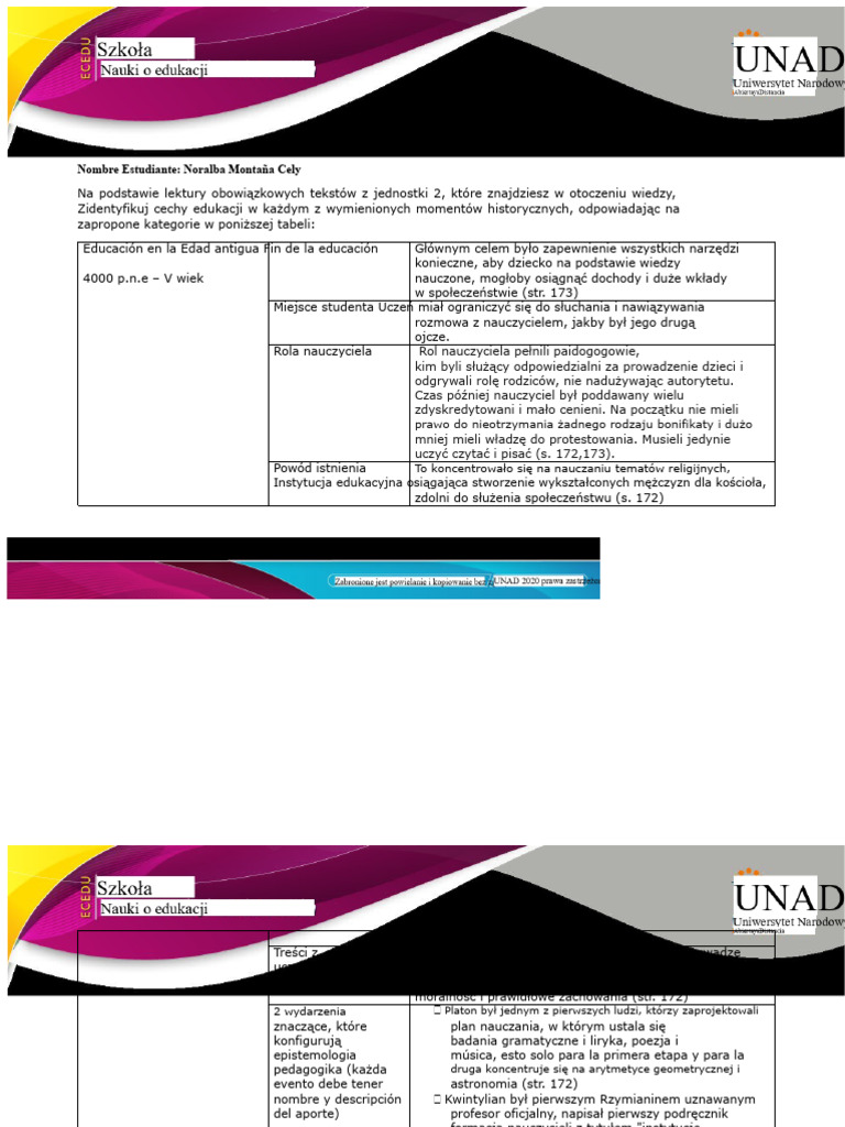 Załącznik 3 - Format Fazy 3 Wkład indywidualny | PDF