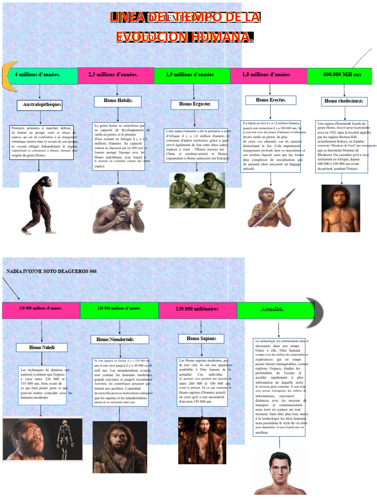 Évolution des Hominidés et Technologies | PDF | Homo | Humain