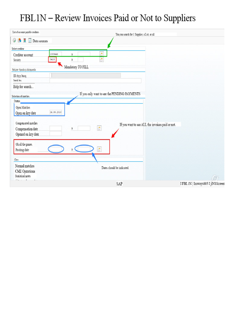 FBL1N Invoice Review Guide for Suppliers | PDF | Invoice