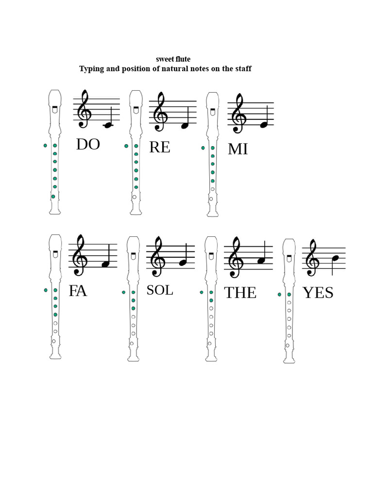 Recorder Notes | PDF