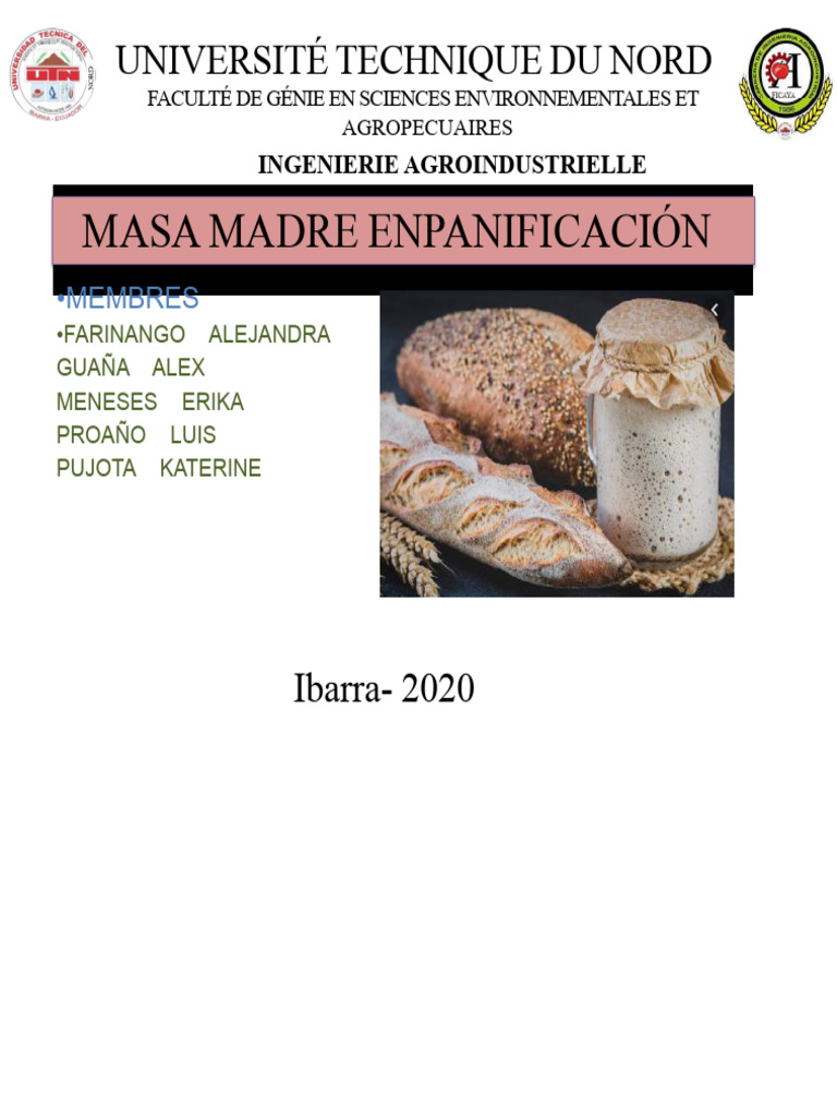 Pâte Mère en Panification : Guide Complet | PDF | Pains | Nourritures
