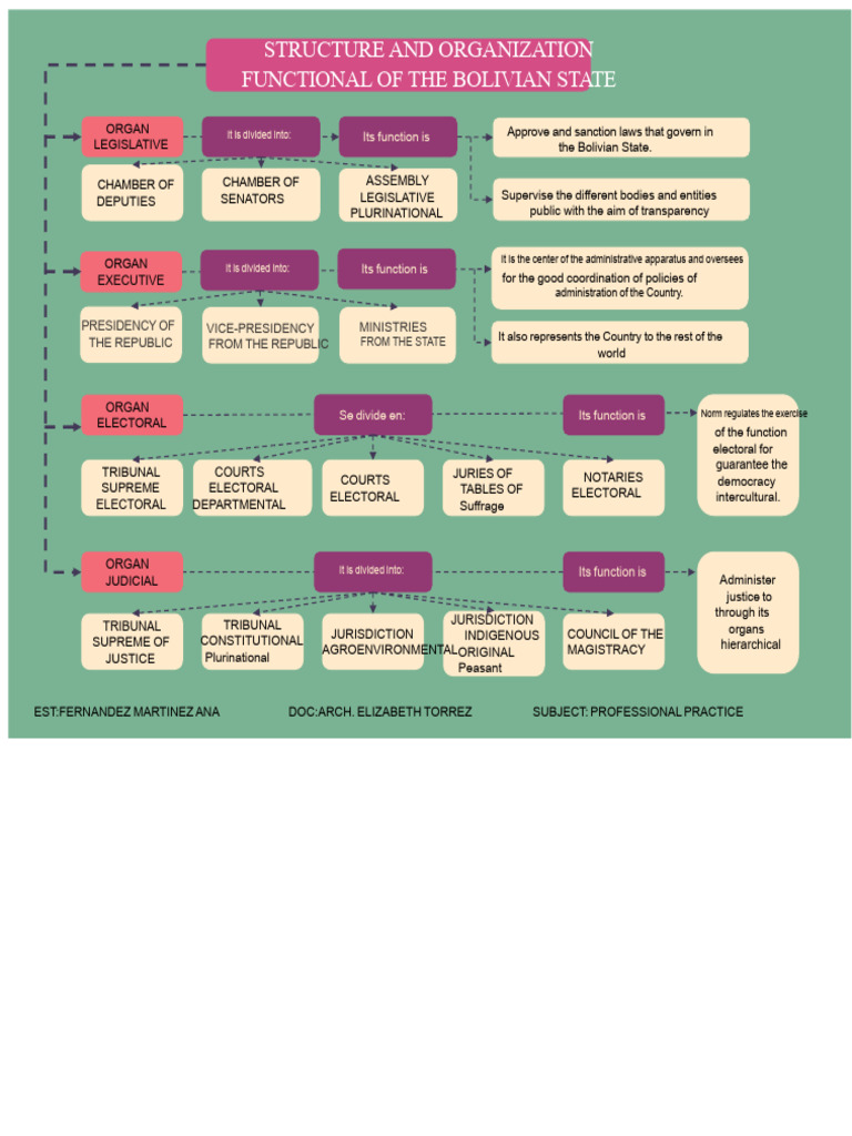 ORGANIZATION OF THE STATE | PDF | Bolivia | Political Law
