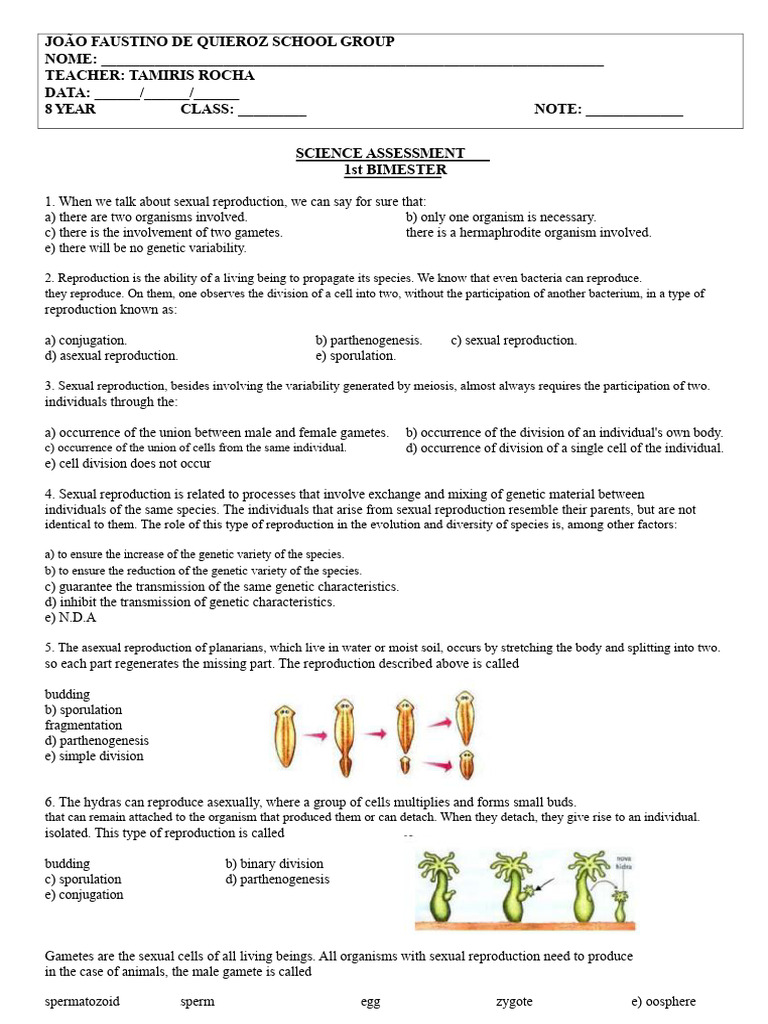 Science Assessment - First Bimester - 8TH Grade C - Teacher Tamiris ...
