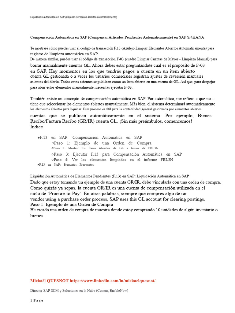 Liquidación Automática de Ítems en SAP | PDF