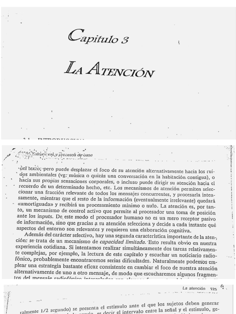 de Vega. Capítulo 3 Atención | PDF