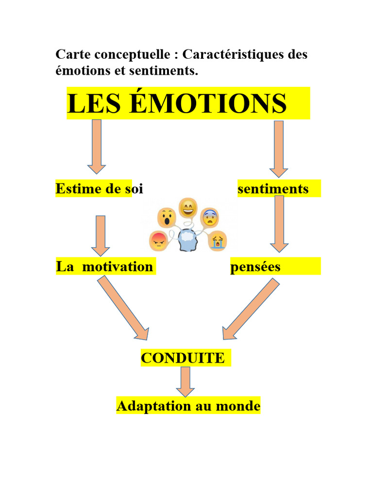 Carte conceptuelle évaluation 1 | PDF