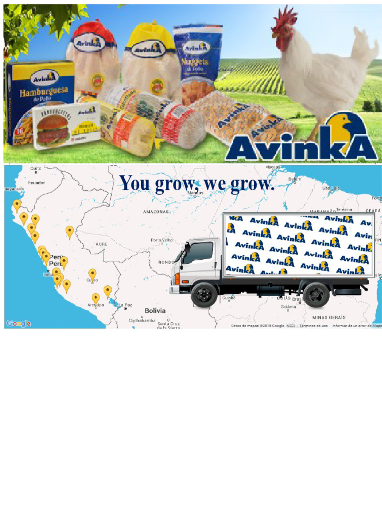 AVINKA SA | PDF | Poultry Farming | Cost Of Goods Sold