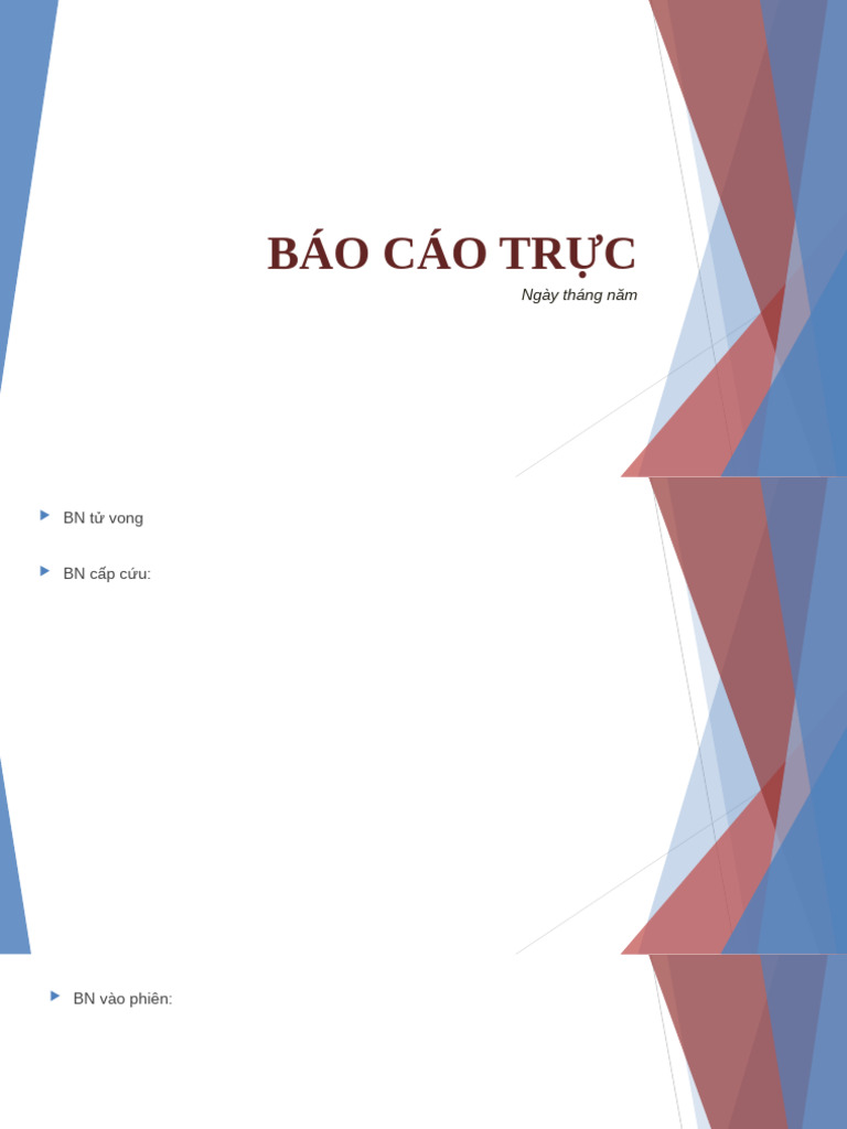 Form Báo Cáo TR C | PDF