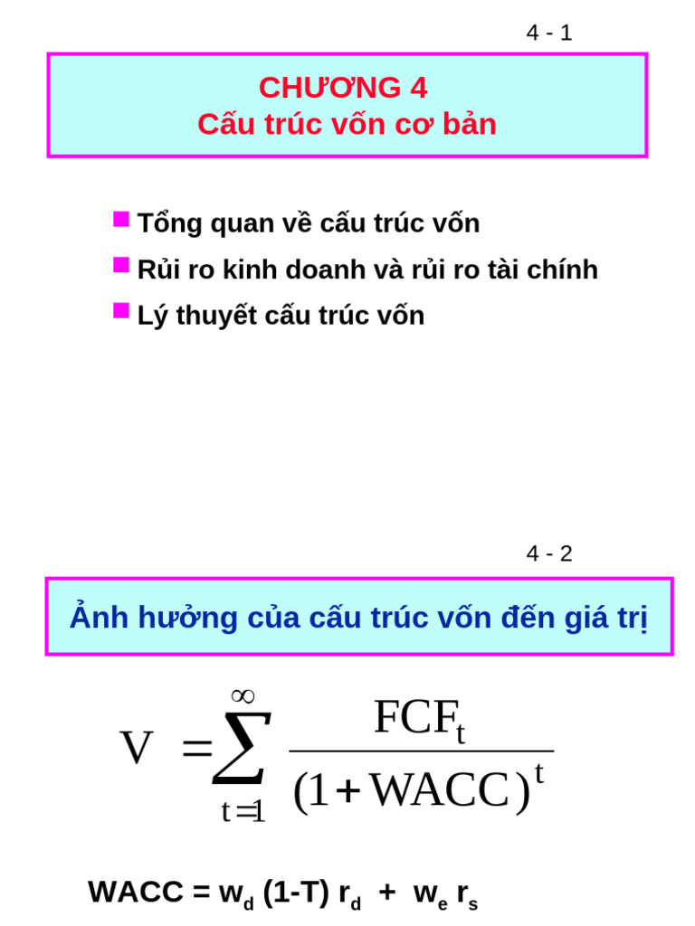 Chapter 4 - Basic Capital Structure | PDF