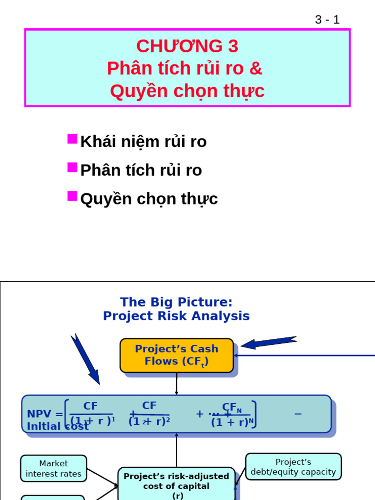 Chapter 3 - Risk Analysis Real Options | PDF