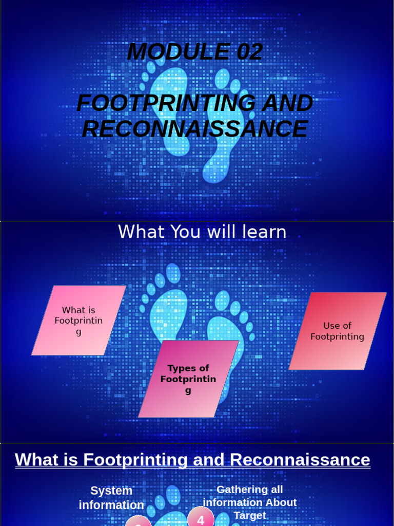 Footprinting and Reconnaissance Guide | PDF
