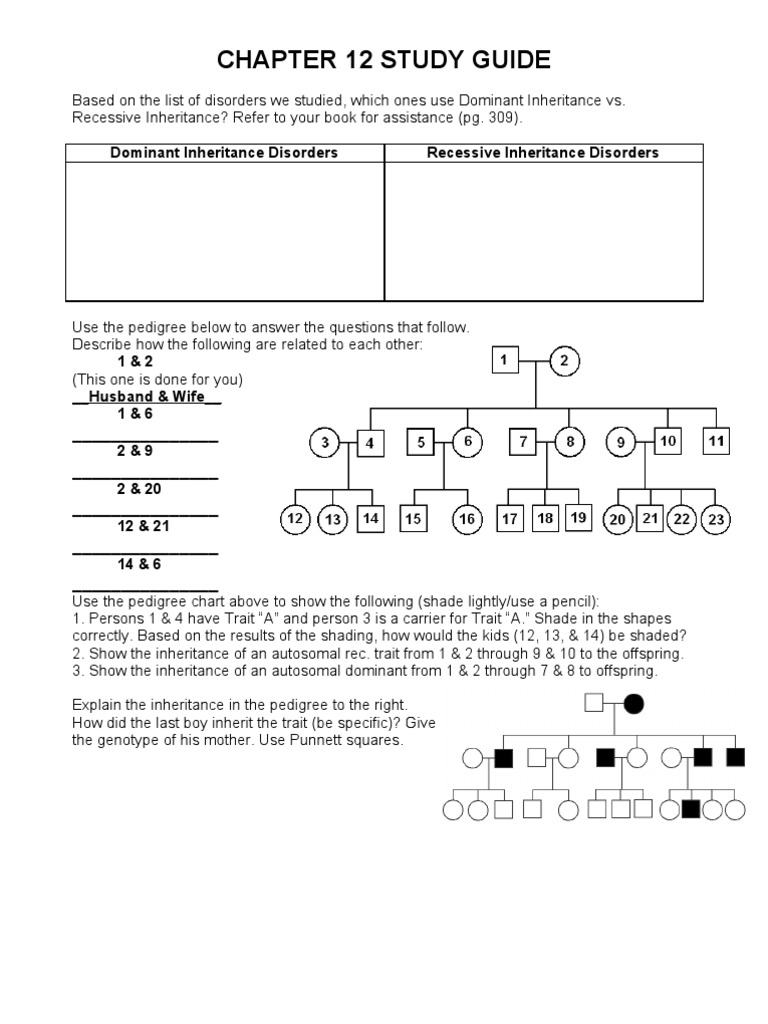 Study Guide PDF
