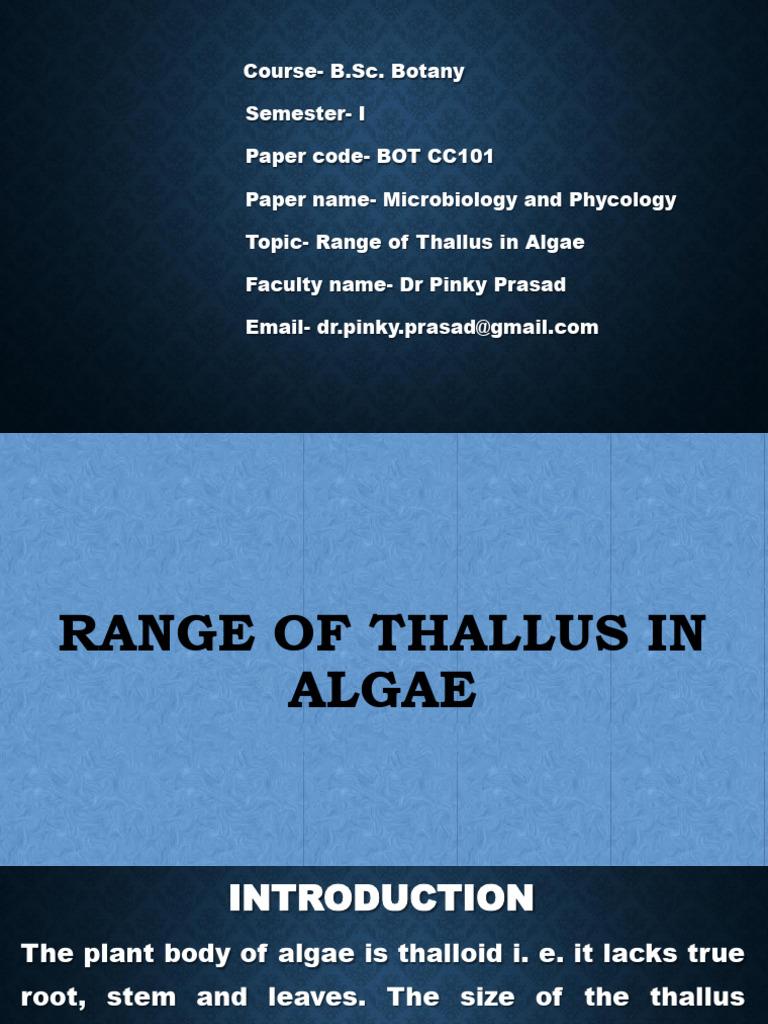 Range of Thallus in Algae | PDF | Eukaryotes | Organisms