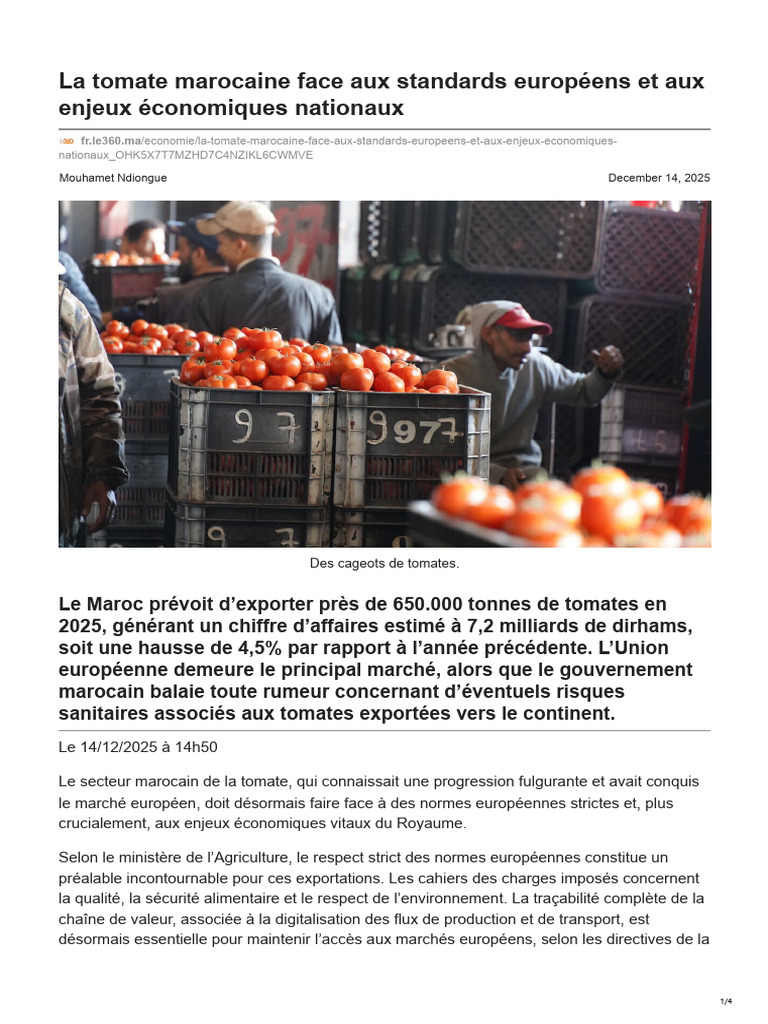 Tomate marocaine : enjeux et normes européennes | PDF | Maroc | Agriculture