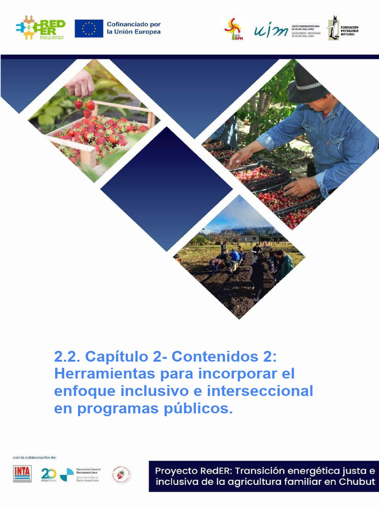 2.2. Capítulo 2- Contenidos 2_ Herramientas Para Incorporar El Enfoque ...
