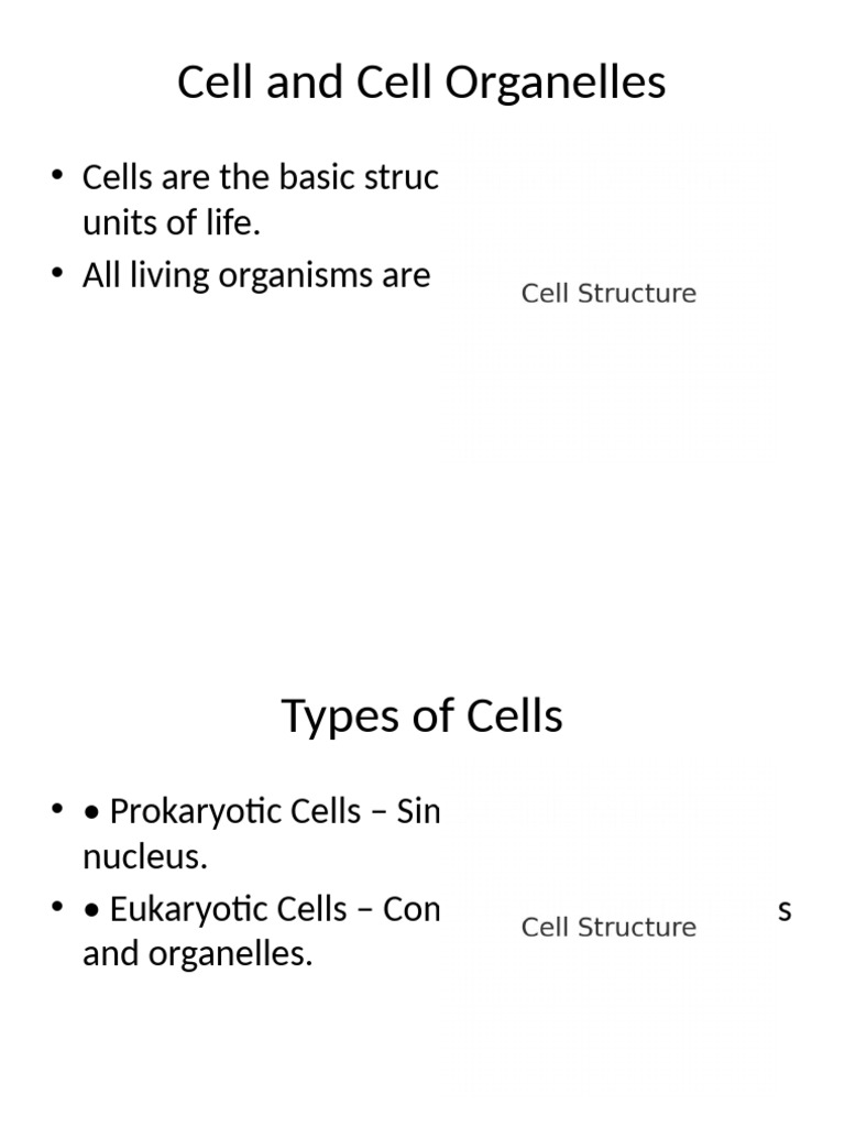 Overview of Cell Types and Organelles | PDF