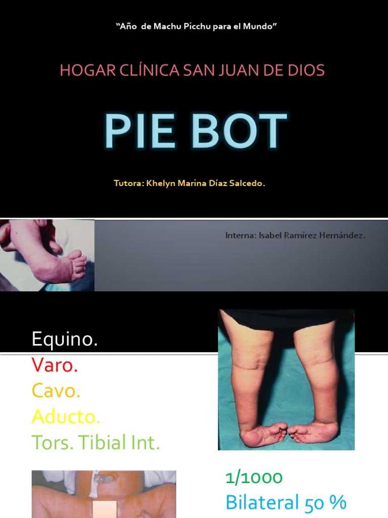 Expo Pie Bot | PDF