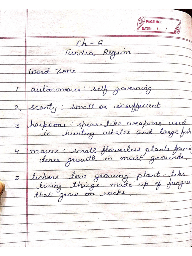 Grade 5 Ch 6 Notebook Work Sst | PDF