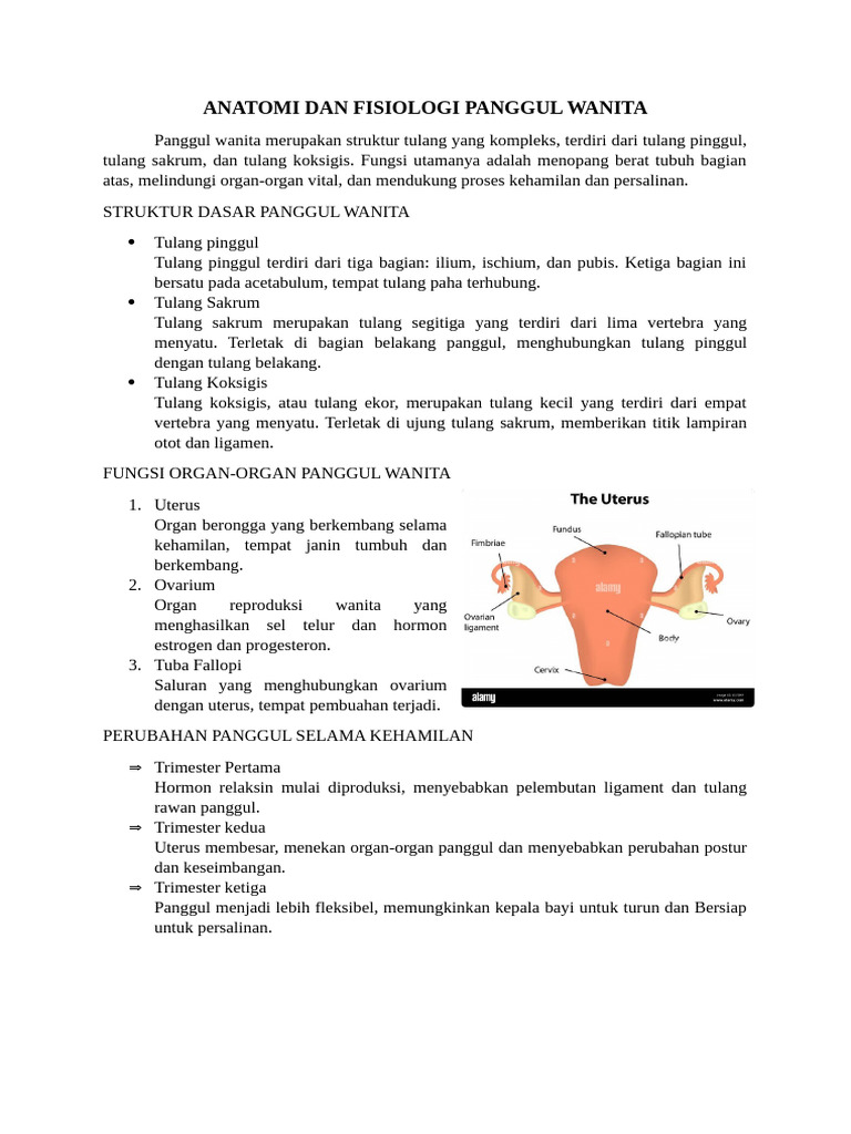 Anatomi dan Fisiologi Panggul Wanita | PDF