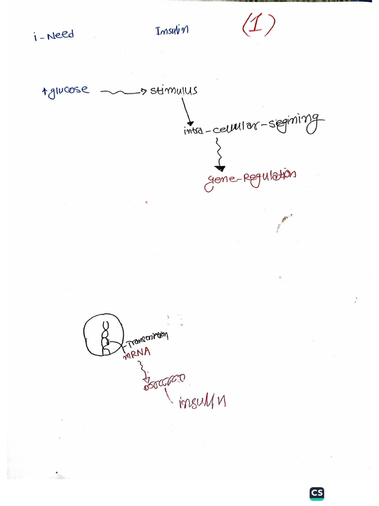 Cell Wall of Bacteria, Transposition, Conjugation | PDF