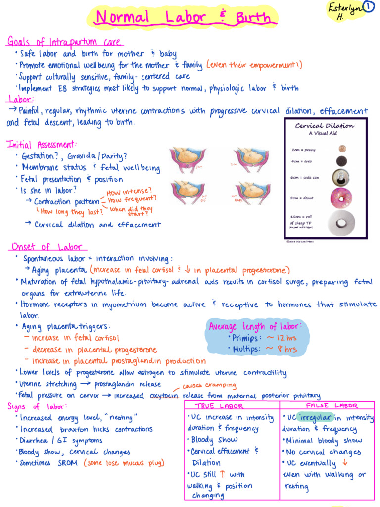 Nursing Notes On Normal Labor & Birth (Stages) | PDF | Childbirth ...