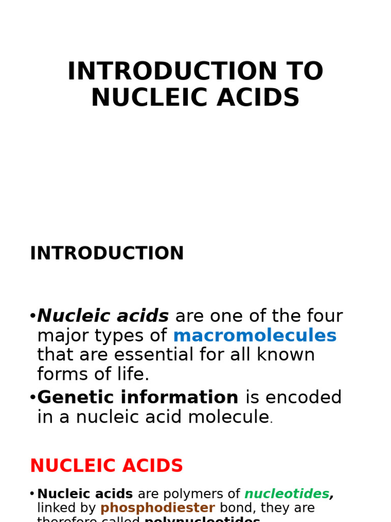 Overview of Nucleic Acids and Their Functions | PDF | Nucleotides | Rna