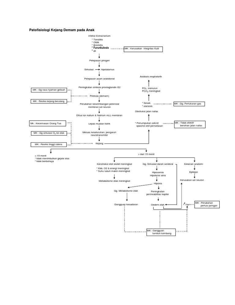 80456053-WOC-demam-kejang