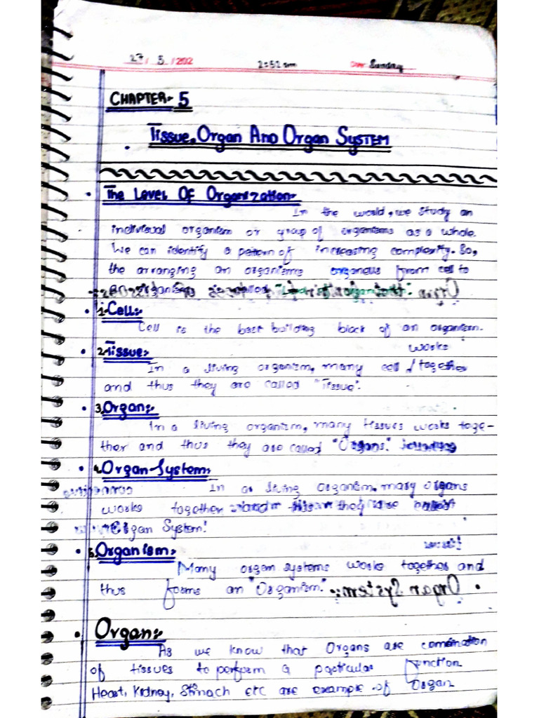 Biology CHP 5 Notes | PDF