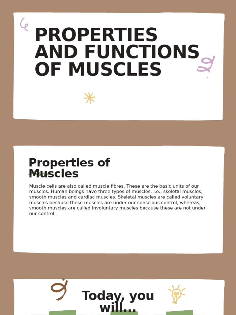 Properties of Muscles - 20251102 - 104423 - 0000 | PDF | Skeletal ...