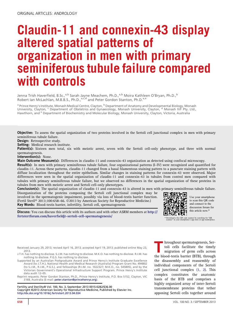 Claudin 11 and Connexin 43 Display Altered Spatial | PDF | Testicle ...