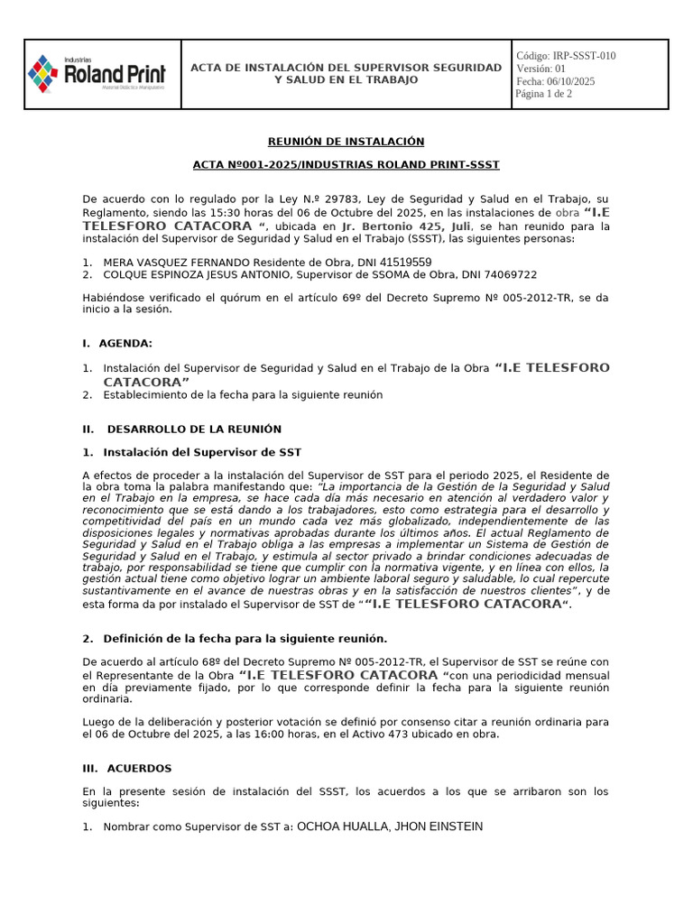 IRP-SSST-010 Acta - Instalacion - Comite SSST Ver.01 | PDF | Gobierno