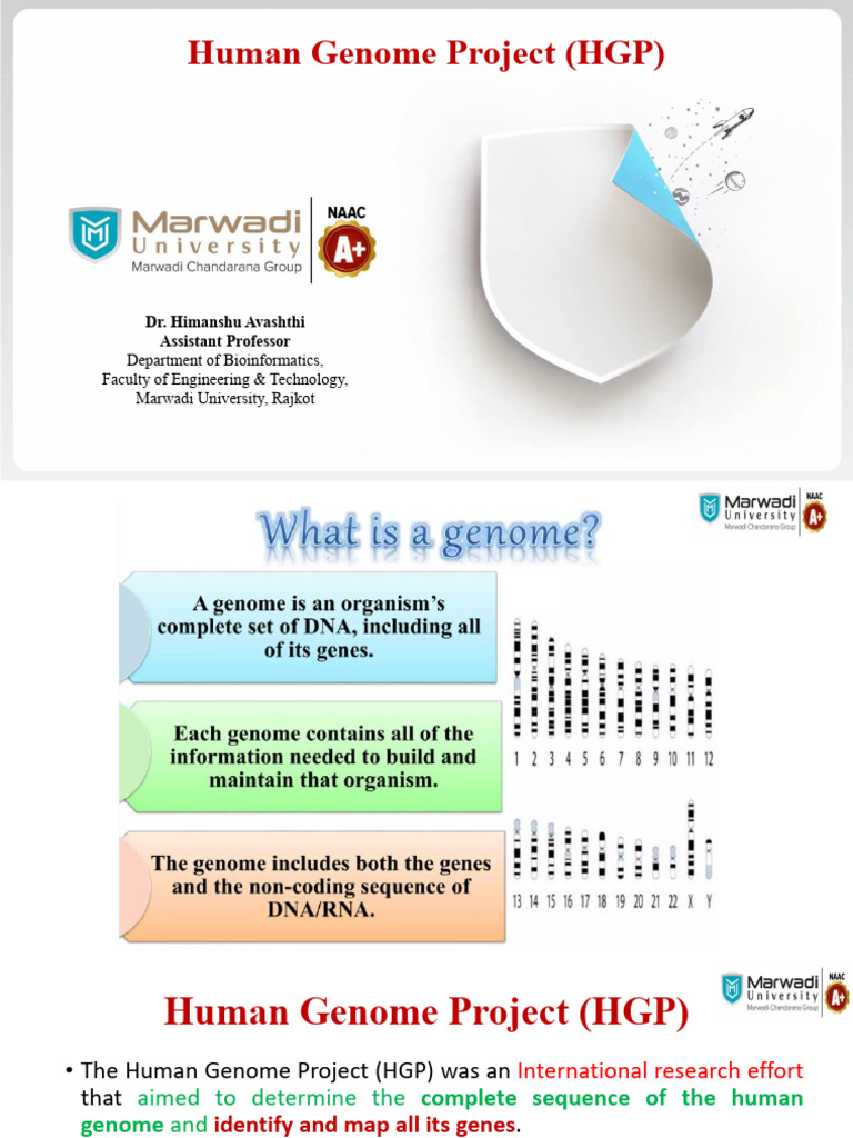 1.1human Genome Project | PDF | Human Genome | Genome