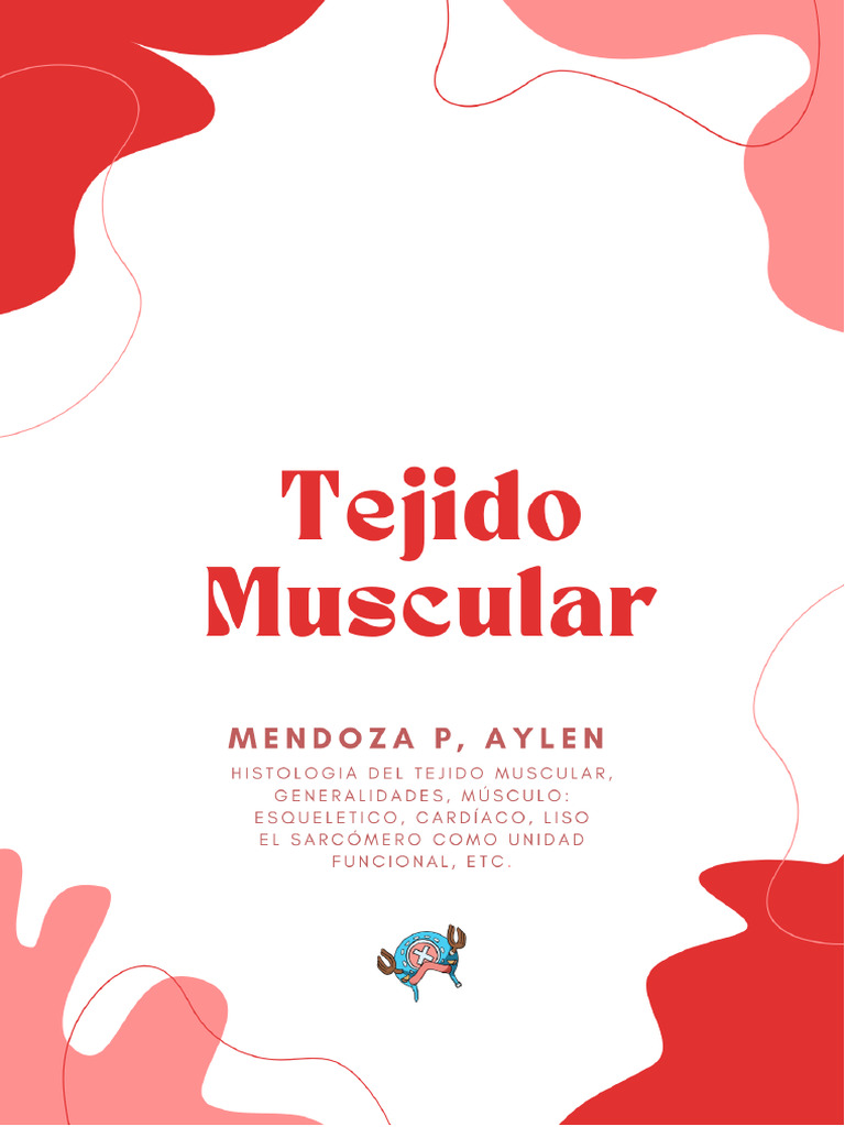 Tejido Muscular BETA | PDF | Músculo | Actina