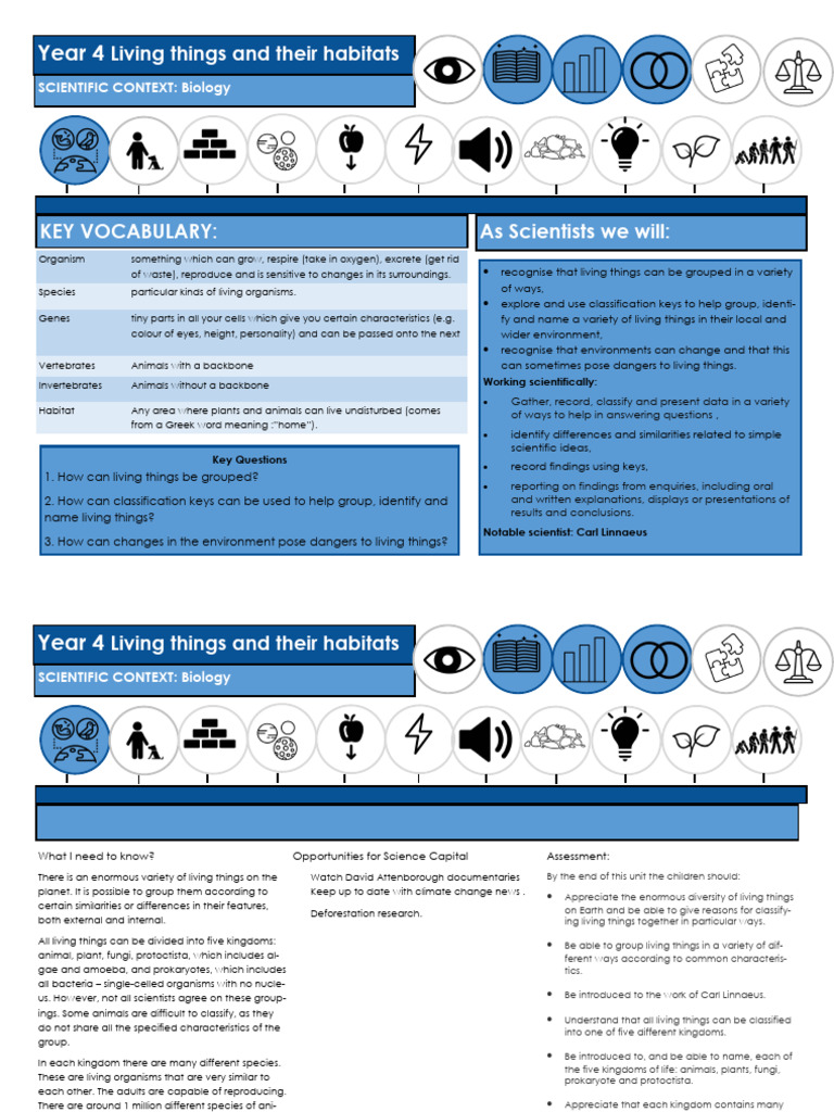 Year 4: Classifying Living Things | PDF | Life | Species