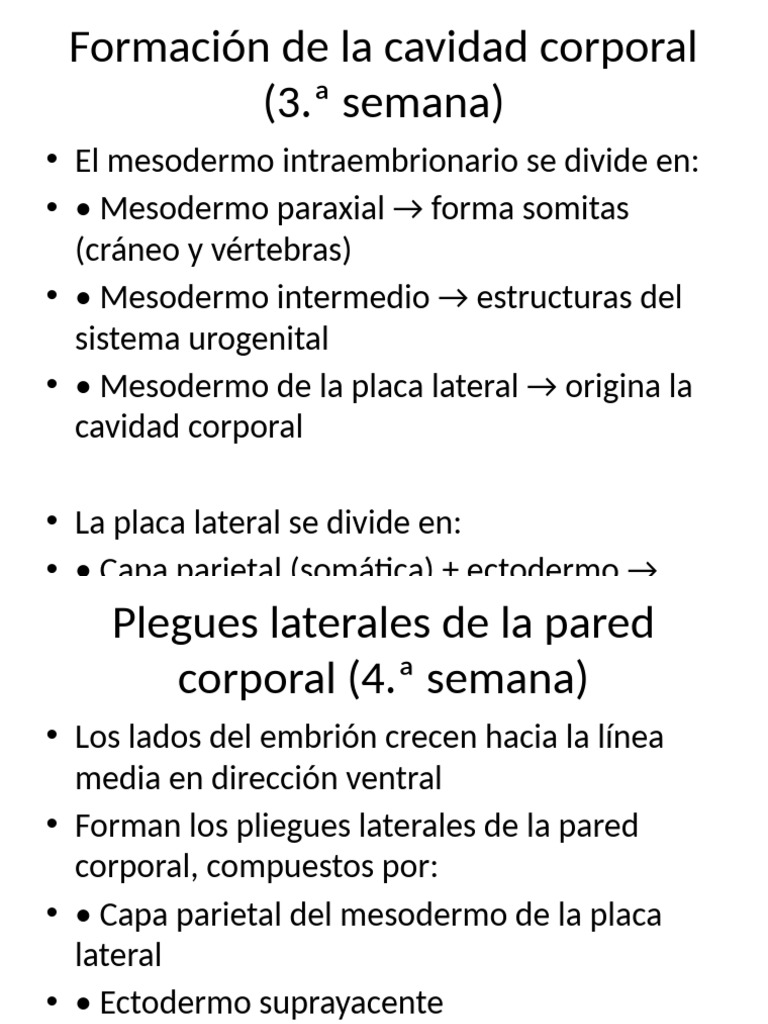 Diapositivas Formación Cavidad Corporal | PDF