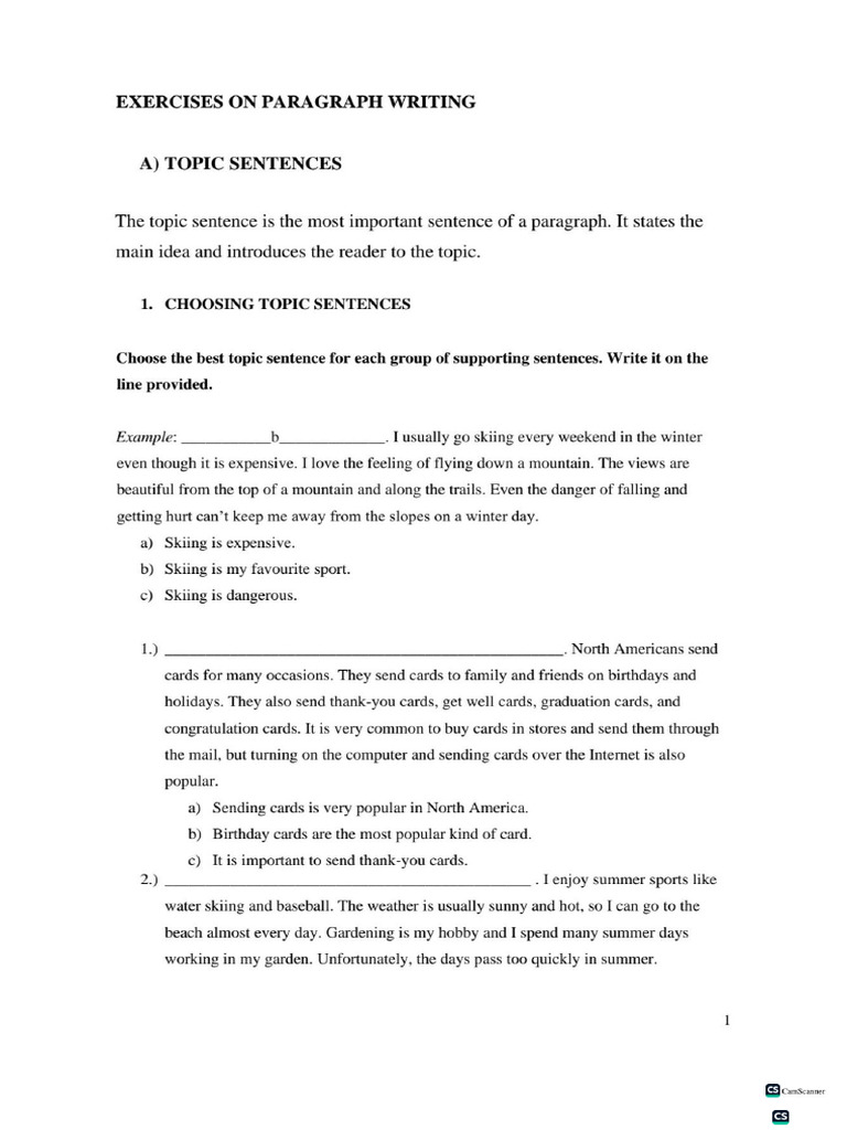 Exercises On Paragraph Writing | PDF