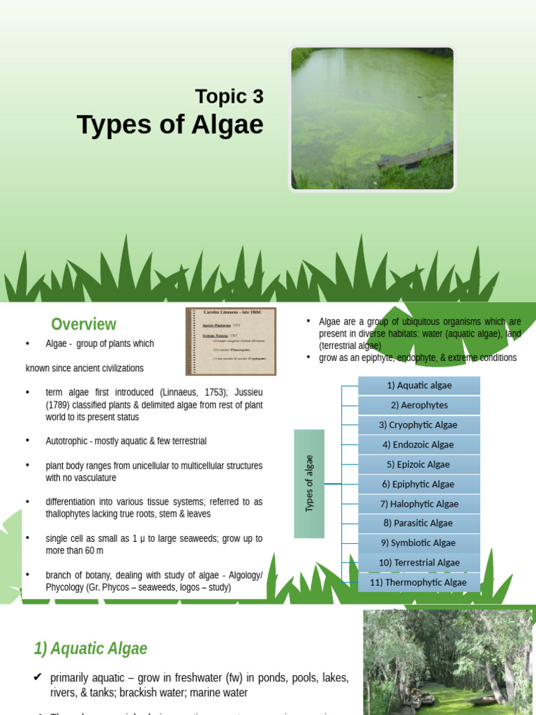Types and Characteristics of Algae | PDF | Algae | Cell Wall