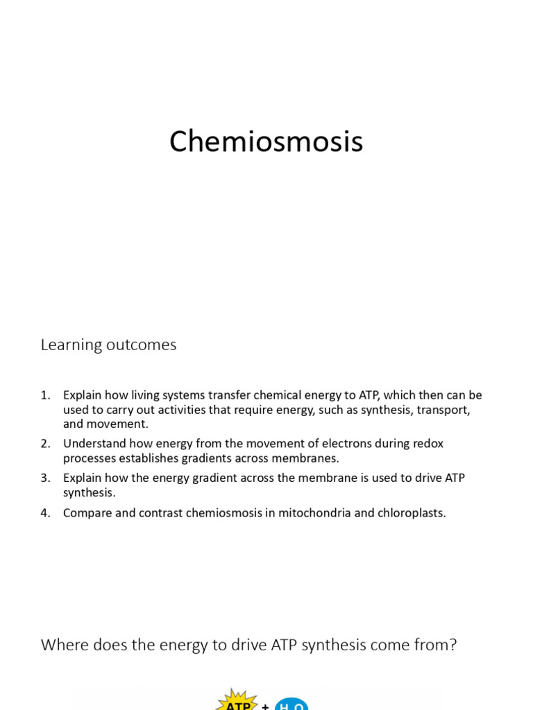 Chemiosmosis: ATP Synthesis Explained | PDF | Redox | Electron ...
