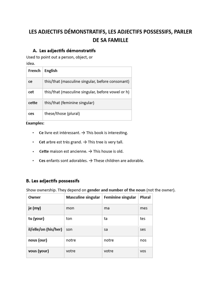 Adjectifs et vocabulaire familial en français | PDF