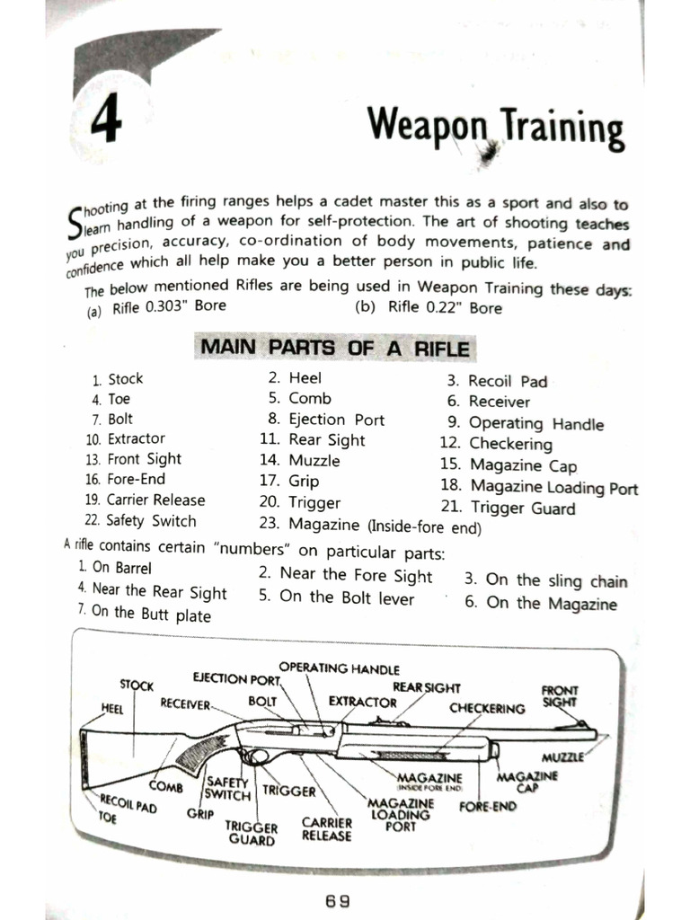 Weapon Training | PDF