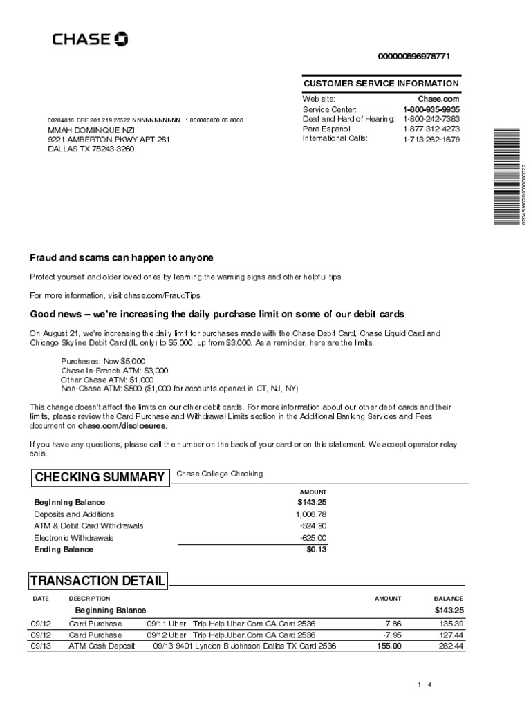 Chase Bank Account Statement Summary | PDF | Chase Bank | Debit Card
