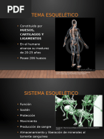 Comparativa: Ángulos de Meary y Costa-Bartani | PDF | Pie | Sistema ...
