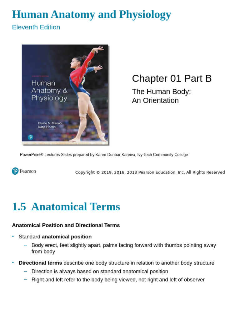 HAP 11e Lecture CH 01B Accessible | PDF