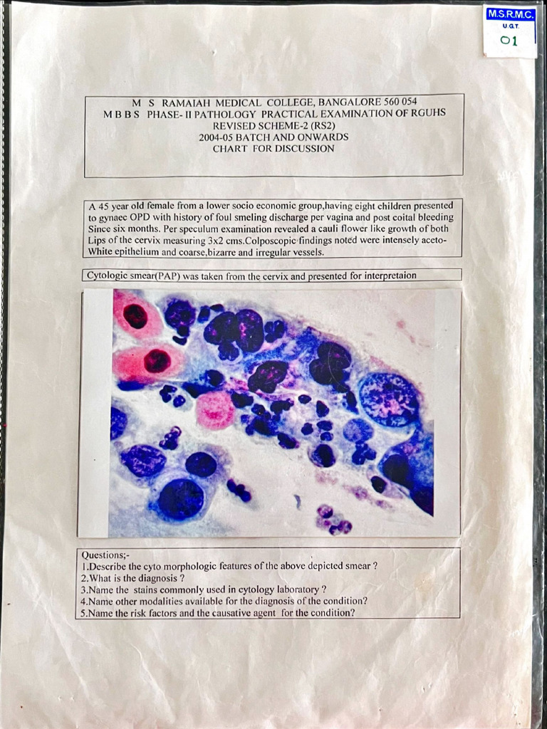 Pathology Charts Final | PDF